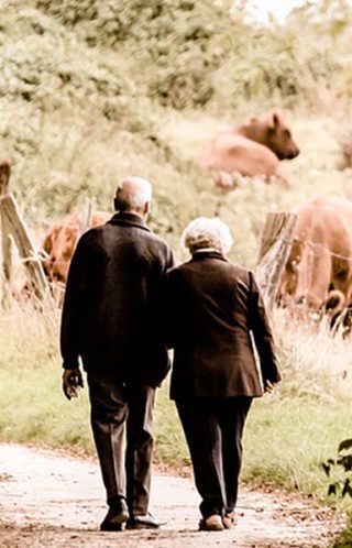 Wissenswertes - Lugina